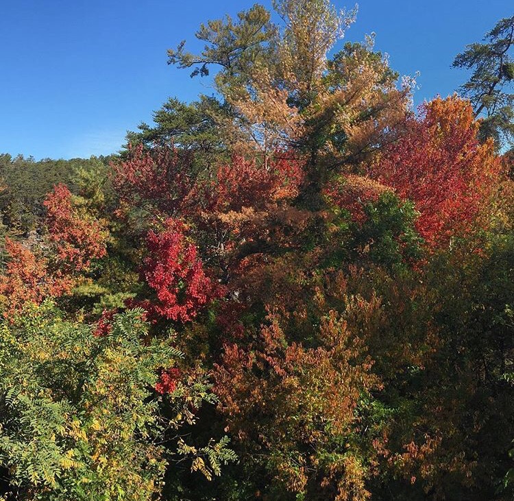 10 Scenic Trails and Day Hikes from Atlanta – Welcome